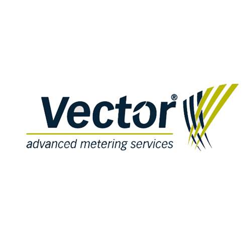 Vector